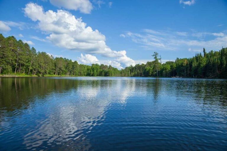 Lake Manly’s Shocking Return Stuns Experts | Patriot Buzz